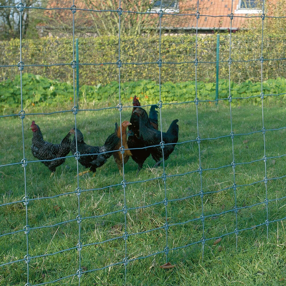 Agrarisch gaas hekwerk op rol - Ursus heavy