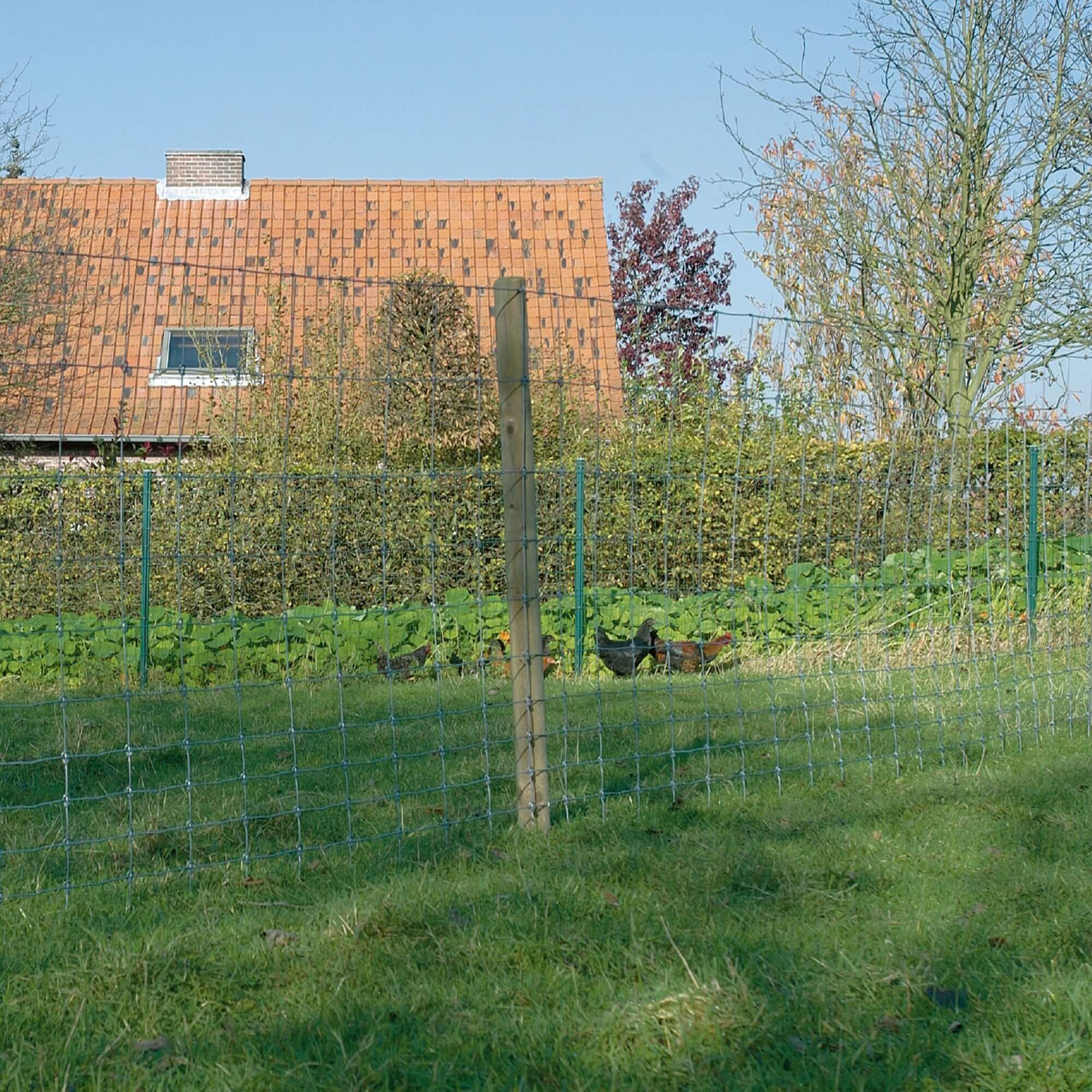 Agrarisch gaas hekwerk op rol - Ursus heavy